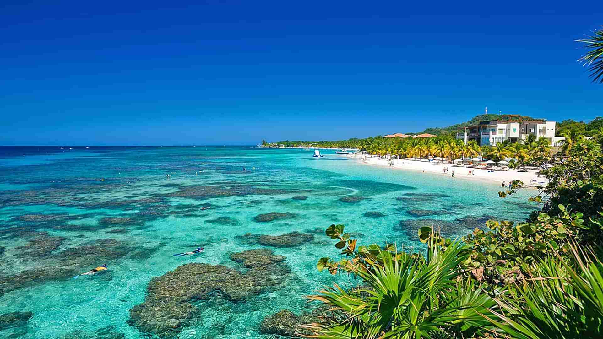 Grand Roatan Resort - Verdante Travel