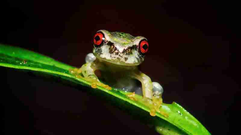 Cusuco National Park Day Tour - Verdante Travel